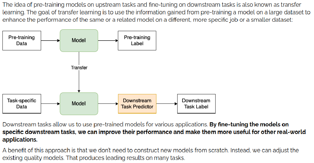 Named Entity Recognition: A Transformers Tutorial