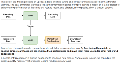 Named Entity Recognition: A Transformers Tutorial