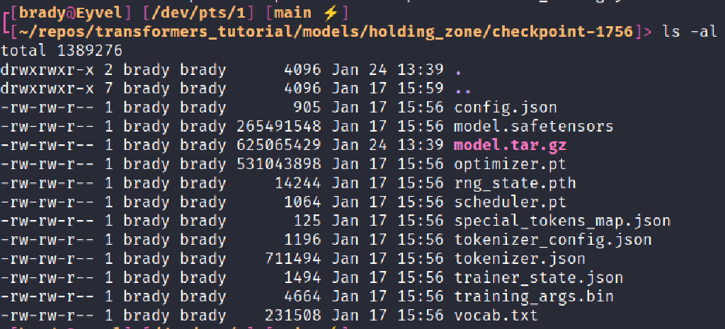 Tutorial: Deploying a Custom Inference Application to AWS Sagemaker